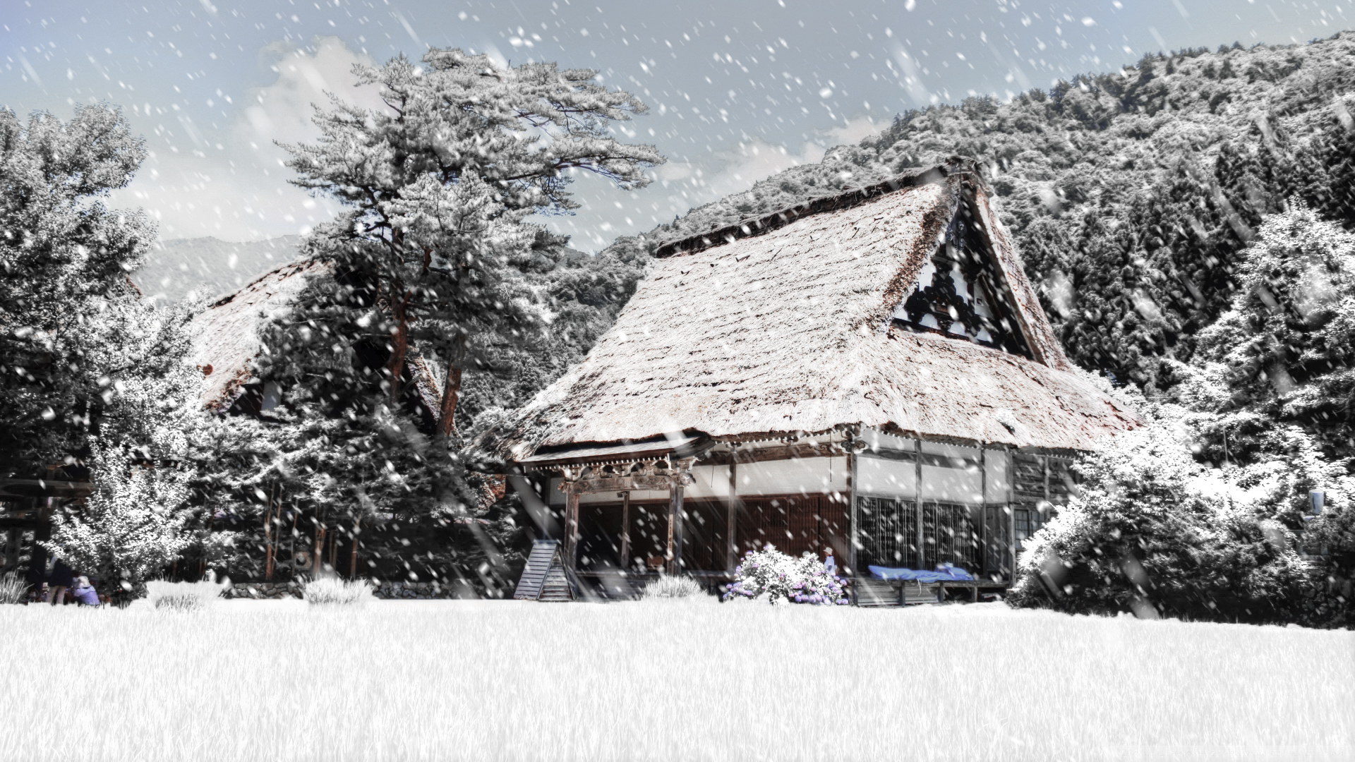 Lira Angela Torralba